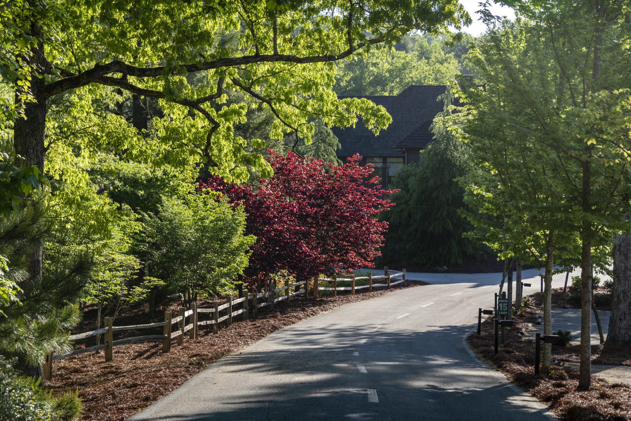 Architectural & Environmental Control Standards Appendices - Big Canoe POA